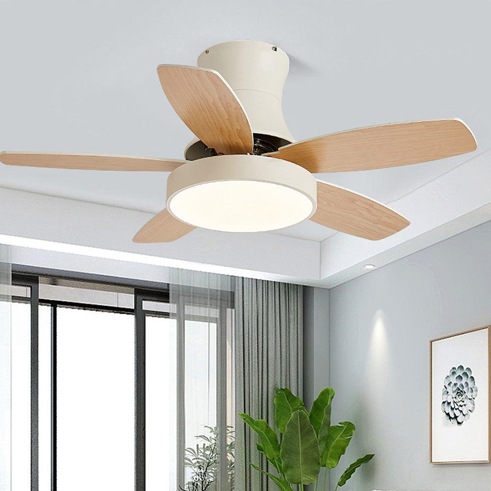 Lampsmodern Simple Fans with Light Acrylic Minimalism LED Bedroom ...